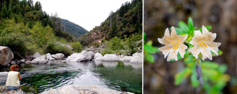 Hiking Along the Rubicon River